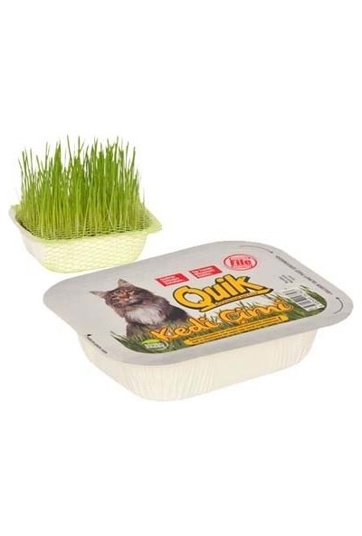 Quik Kedi ve Kemirgen Çimi