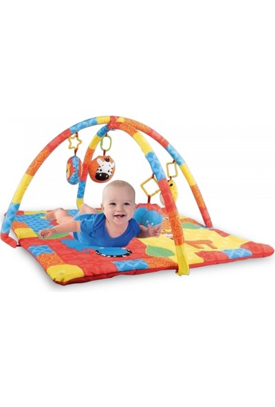 Ion Oyuncaklı Aktivite Minderi