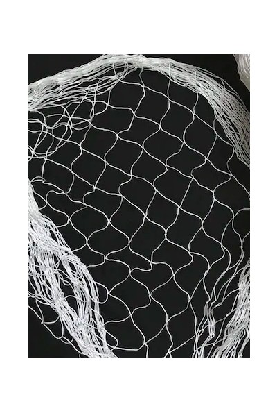 Arba Balkon Filesi Kuş Ağı Kuş Filesi Balkon Ağı 3 mt x 9 mt Arba Balkon Filesi Kuş Ağı Kuş Filesi Balkon Ağı 3 mt x 9 mt