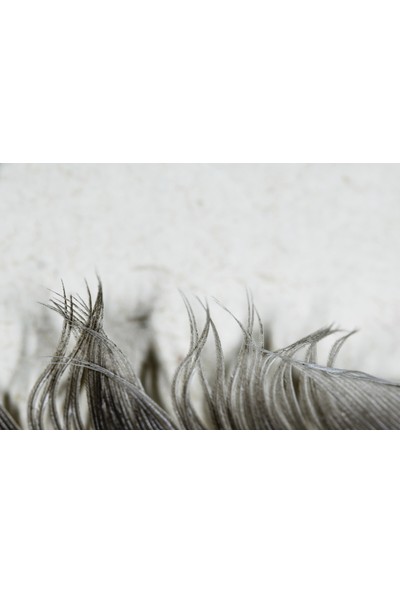 Misafir, Orhan Cem Çetin