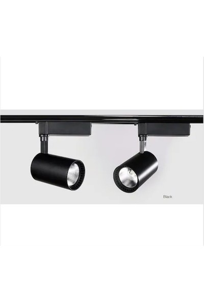 Masiva 2 Adet 30 Watt Siyah Kasa Gün Işığı Ray Spot 1 Metre Siyah Ray Masiva 2 Adet 30 Watt Siyah Kasa Gün Işığı Ray Spot 1 Metre Siyah Ray