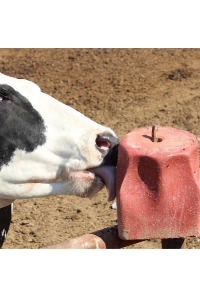 Royal İlaç Mineral Block 3 kg 8 Adet Royal İlaç Mineral Block 3 kg 8 Adet