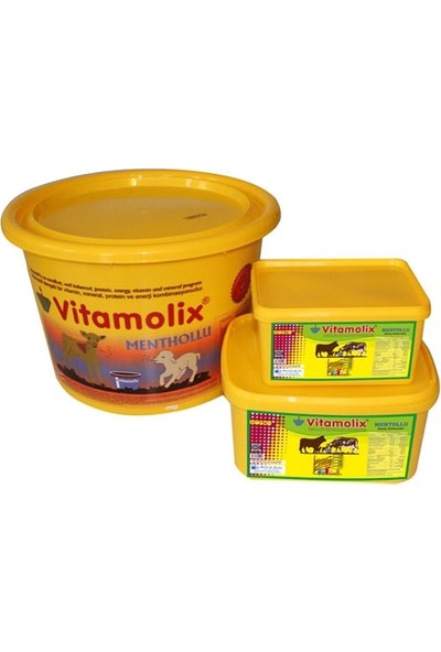 Royal İlaç Vitamolix Menthollü 3 kg