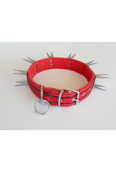 Le-sar Çivili Kolon Çivili Tasma