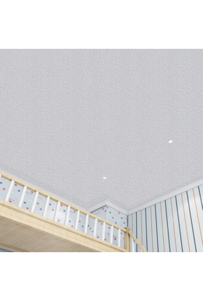 Isı ve Ses Yalıtımlı Canlı | Ipek | Dekoratif Sıva Elegance-16 Düz Beyaz