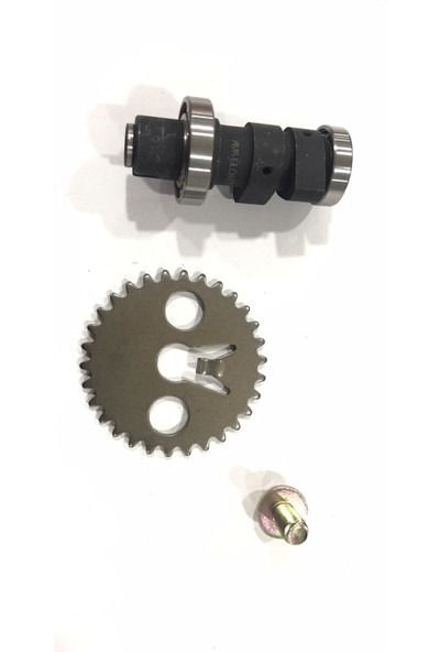 Sym Egzantrik Mili Sym Orbıt 50CC