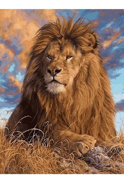 Lily Hobbyland Lider Aslan Çerçeveli Sayılarla Boyama Seti 40 x 50 cm