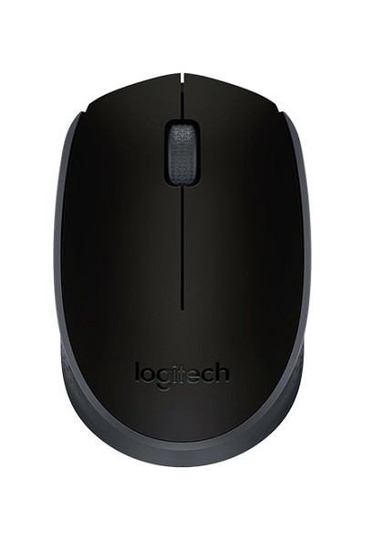 Logıtech M171 Kablosuz Mouse Siyah 910-004424