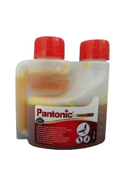 Royal İlaç Pantonic 125 ml
