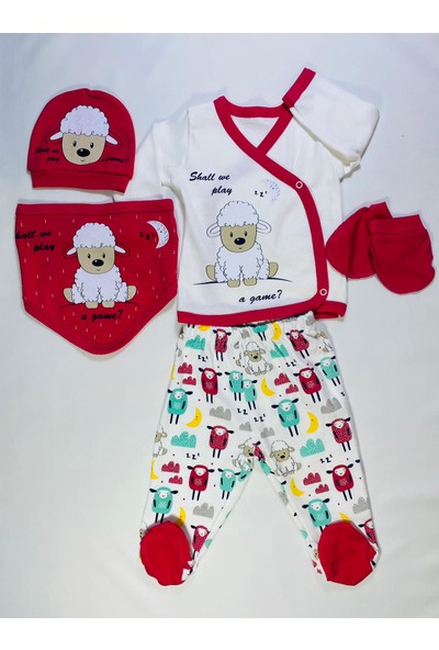 Ekspres16 Kız Bebek Kuzulu 5 Li Hastane Çıkışı