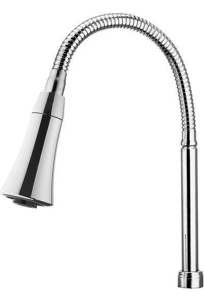 Truva Kuğu Evye Borusu