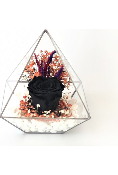 Vitrayverteks Solmayan Gül Teraryum Cam Fanus Vitrayverteks Solmayan Gül Teraryum Cam Fanus