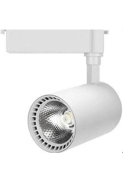Taşkın LED 30 W Ray Spot Beyaz Kasa