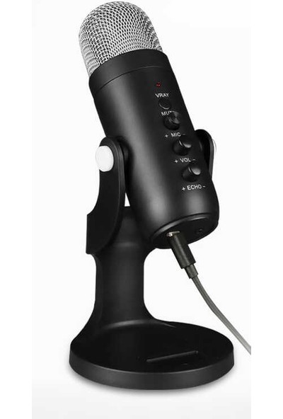 Bizimgross USB Masaüstü Mikrofon