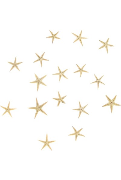 Gardenonya Dekoratif Gerçek Mini Deniz Yıldızı 25 Adet Kurutulmuş