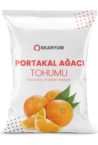 Oskaryum Portakal Ağacı Tohumu