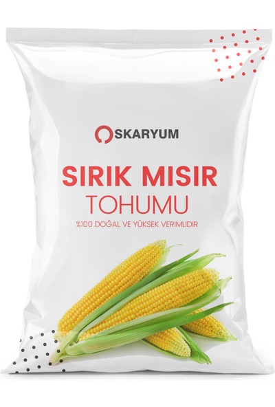 Oskaryum Sırık Mısır Tohumu