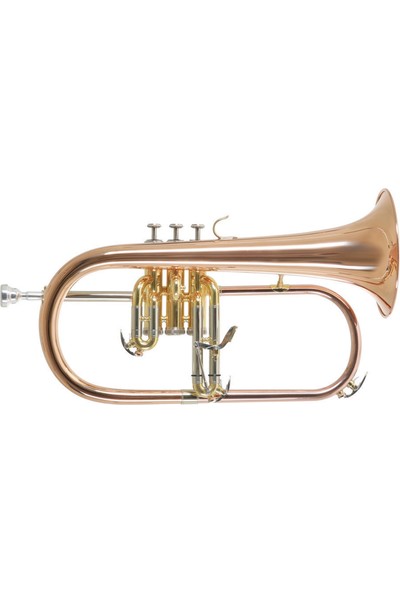 Roy Benson Fh-302G Flugelhorn Roy Benson Fh-302G Flugelhorn