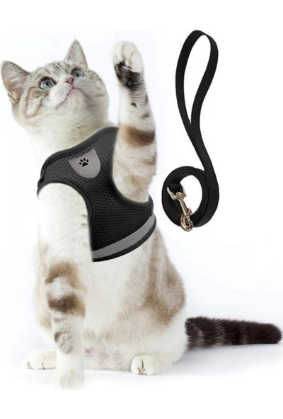 Şencanlar Kedi Köpek Kıyafeti Yansıtıcılı Tasmalı Yelek Siyah Xl Şencanlar Kedi Köpek Kıyafeti Yansıtıcılı Tasmalı Yelek Siyah Xl