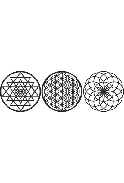 Vera Dizayn Ahşap Dekoratif Yaşam Çiçeği Torus Sri Yantra Kutsal Geometri Muhteşem 3'lü Set Vera Dizayn Ahşap Dekoratif Yaşam Çiçeği Torus Sri Yantra Kutsal Geometri Muhteşem 3'lü Set