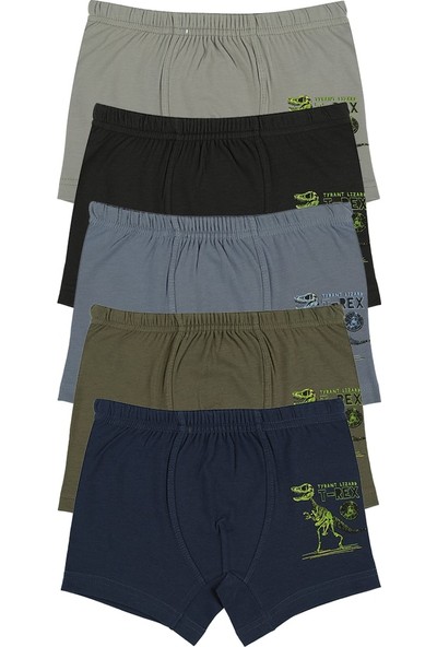 Donella 5'li T-Rex Baskılı Erkek Çocuk Boxer - 7571TJ
