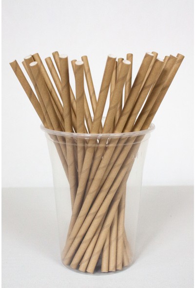 Dolphin Kağıt Pipet Natürel 22CM 25LI