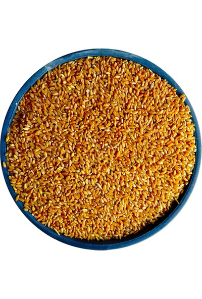 Bizim Yem Elenmiş Sert Buğday 1.sınıf - 500 gr ( Güvercin Horoz Tavuk Hindi)