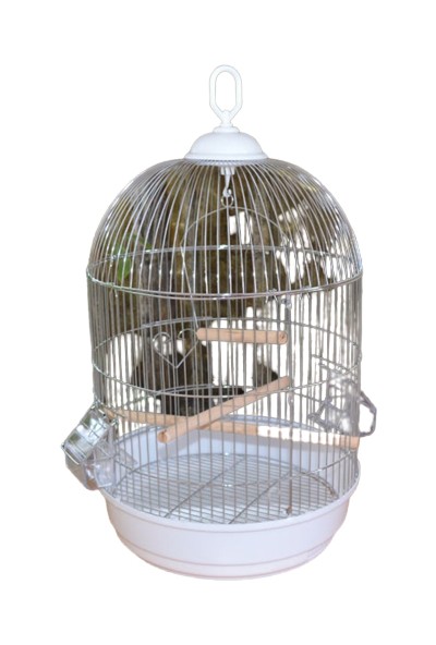 EuroGold Salon Kafesi Yuvarlak Kafes Krom Ø34X55