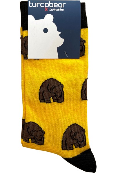 Turcobear All Day Bear Çorap