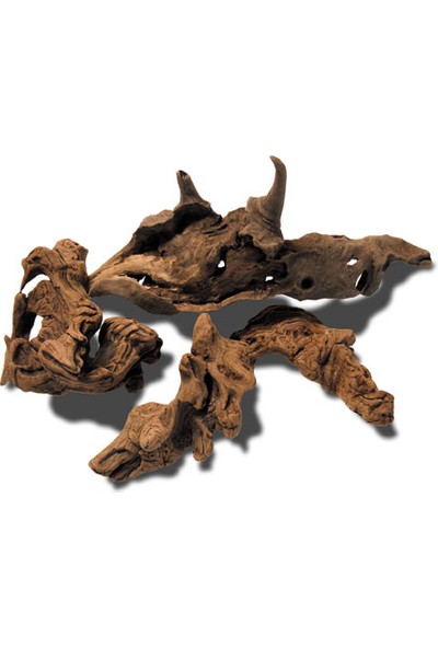 Canlı Petshop Oquwa L Kütük Canlı Petshop Oquwa L Kütük