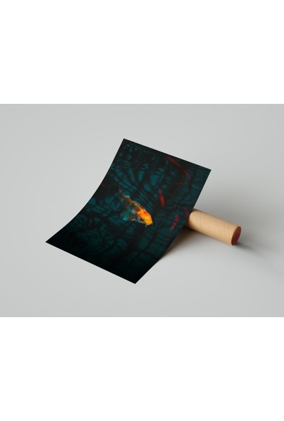 Termofom Balık Tasarımlı Dekoratif Poster (70X100)
