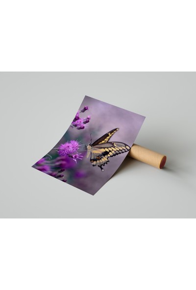 Termofom Kelebek Tasarımlı Dekoratif Poster (70X100)