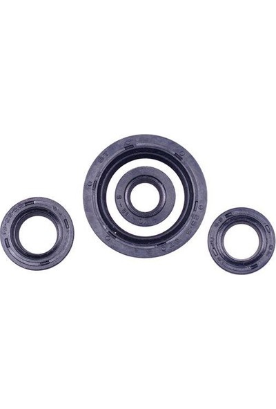 Jolt Bajaj Pulsar NS200 Keçe Takımı Jolt Jolt Bajaj Pulsar NS200 Keçe Takımı Jolt