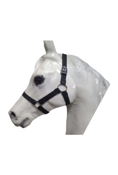 Atex Deri Detaylı Yular Atex Deri Detaylı Yular