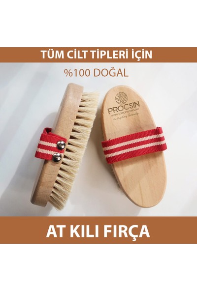 PROCSIN At Kılı Fırçası