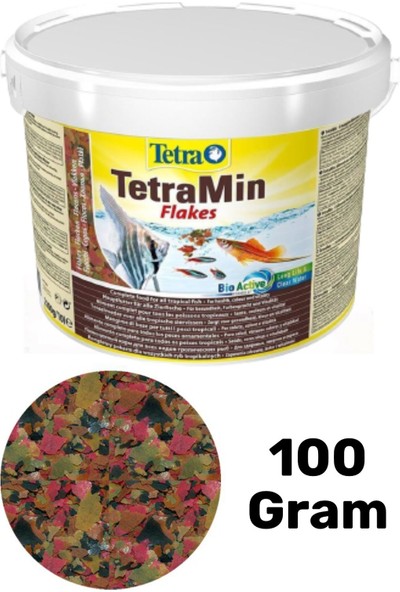 Tetra Tetramin Flakes Pul Yem 100 gr Tetra Tetramin Flakes Pul Yem 100 gr