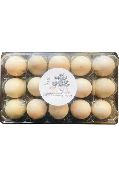 Little Sister's Farm Ördek Yumurtası 15'li