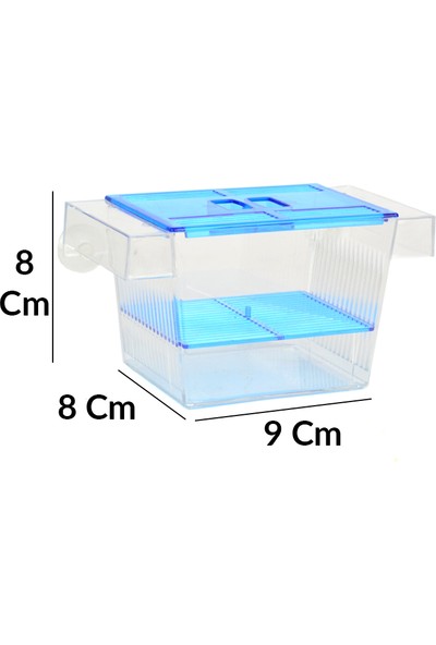 Aqua Magic Balık Yavruluk Küçük Tekli