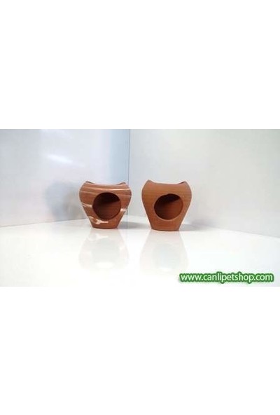 Canlı Petshop Balık Yuvası (Küçük) No: 12 Canlı Petshop Balık Yuvası (Küçük) No: 12