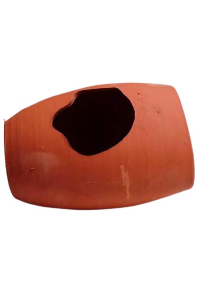 Canlı Petshop Balık Yuvası (Büyük) 1 Ad No:01