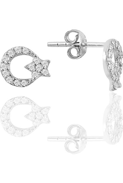 Söğütlü Silver Gümüş Rodyumlu Zirkon Taşlı Ay Yıldız Küpe