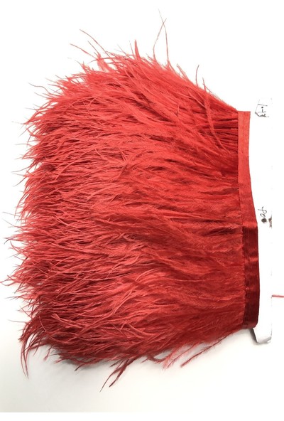 Hayalperest Boncuk Kırmızı Deve Kuşu Tüyü 1 mt