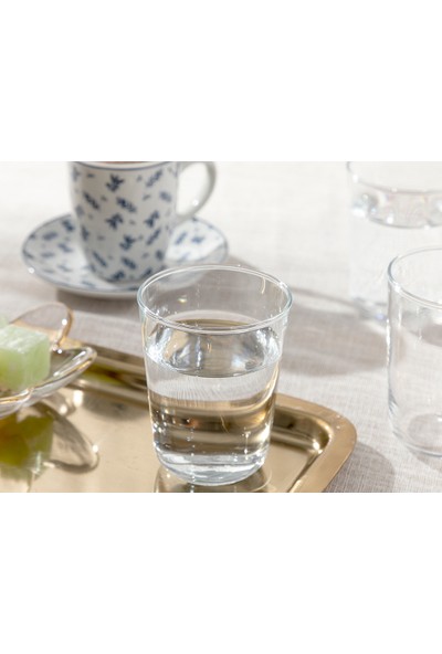 English Home Hira Cam 6'lı Kahve Yanı Su Bardağı 120 ml Şeffaf