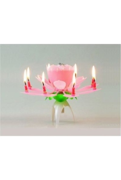 Happyland Toptancı Kapında Müzikli Kendinden Açılan Sihirli Pasta Mumu Happyland Toptancı Kapında Müzikli Kendinden Açılan Sihirli Pasta Mumu
