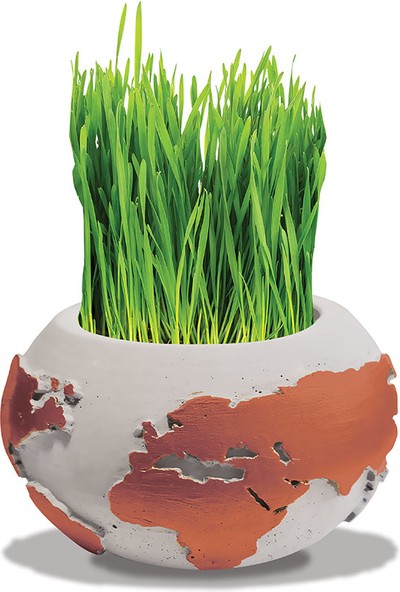 Süs Ağacı Çimli Beton Saksı Boyama Seti Dünya Model Saksı -Dıy Kendin Boya Çim Adam- Gümüş Bakır Süs Ağacı Çimli Beton Saksı Boyama Seti Dünya Model Saksı -Dıy Kendin Boya Çim Adam- Gümüş Bakır