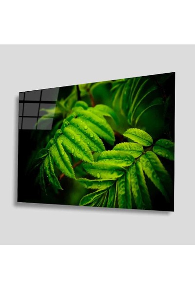 Idealizbiz Yeşil Cam Tablo 4mm Dayanıklı Temperli Cam