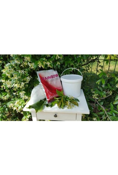 Status Aljinat Tozu ile El Ele 3D Heykel Kalıbı Alma Full Seti 450 gr Aljinat 1 kg Alçı