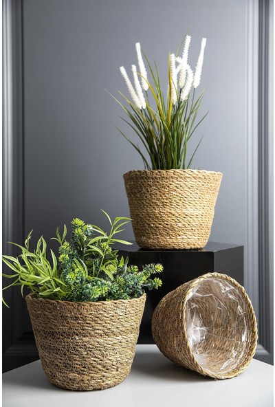 Vip Gross Yuvarlak V Saksılık 3lü CL-9024