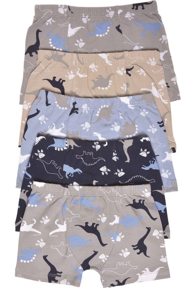 Nicoletta Mıxcolor Erkek Çocuk Boxer 5'li Paket